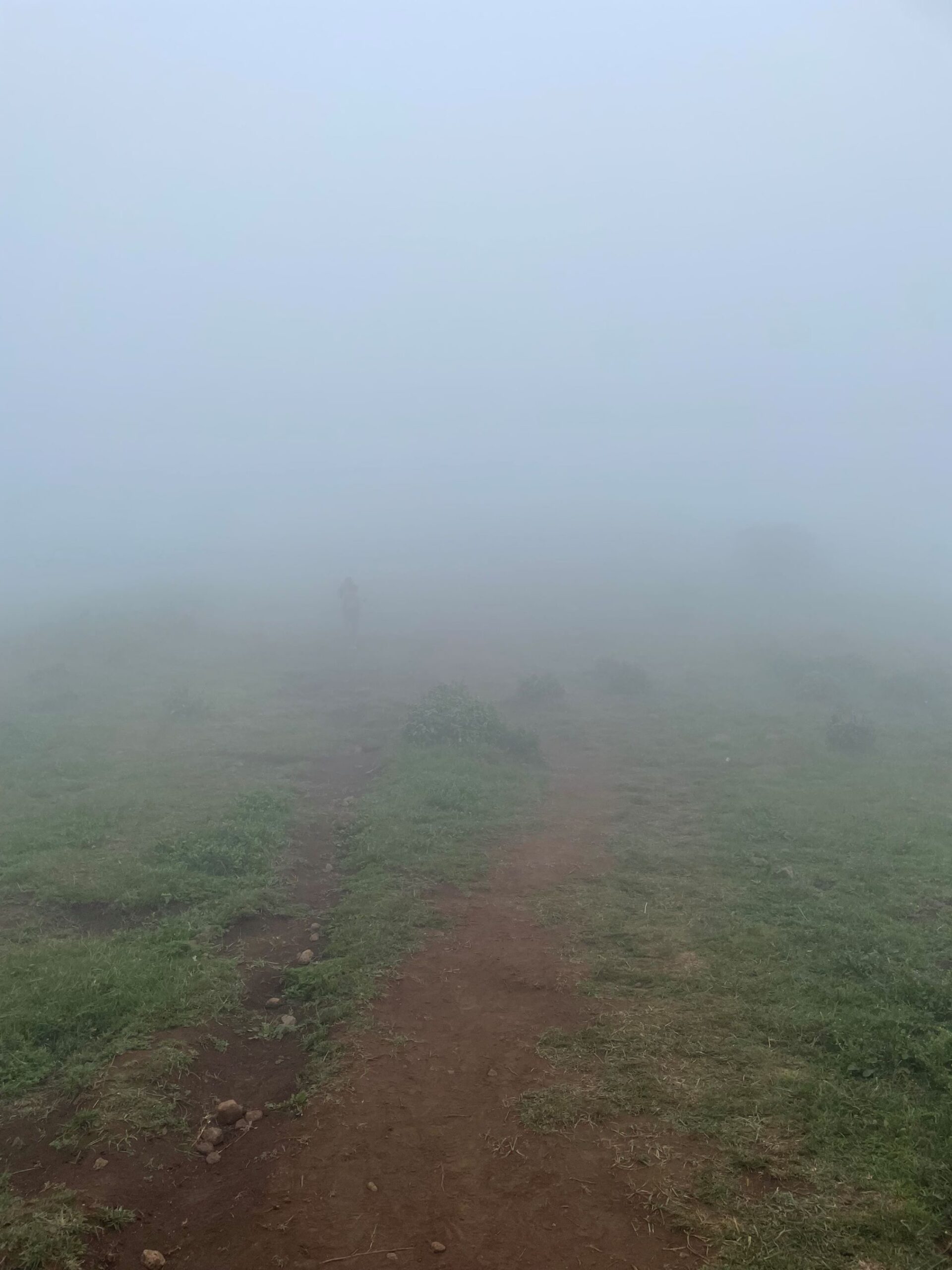 JUAMI 2023 – BLOG – JUAMI